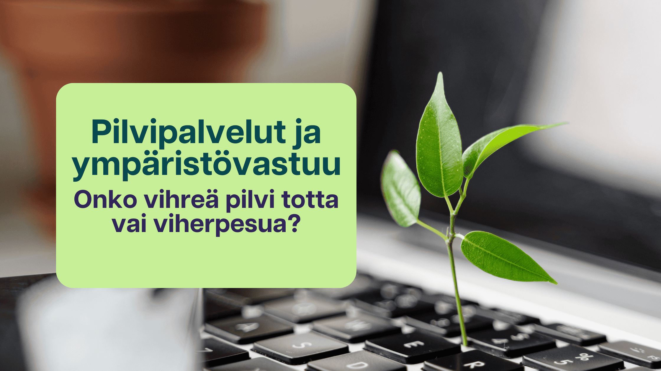 Pilvipalvelut ja ympäristövastuu – onko vihreä pilvi totta vai viherpesua?